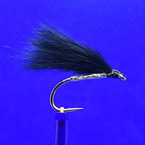 Llyn Trawsfynydd fishing: 2 days out after beautiful trout
