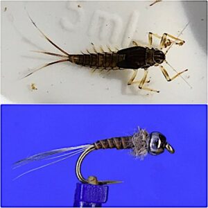 Peacock Quill Nymph: How to tie 7 simple but proven flies